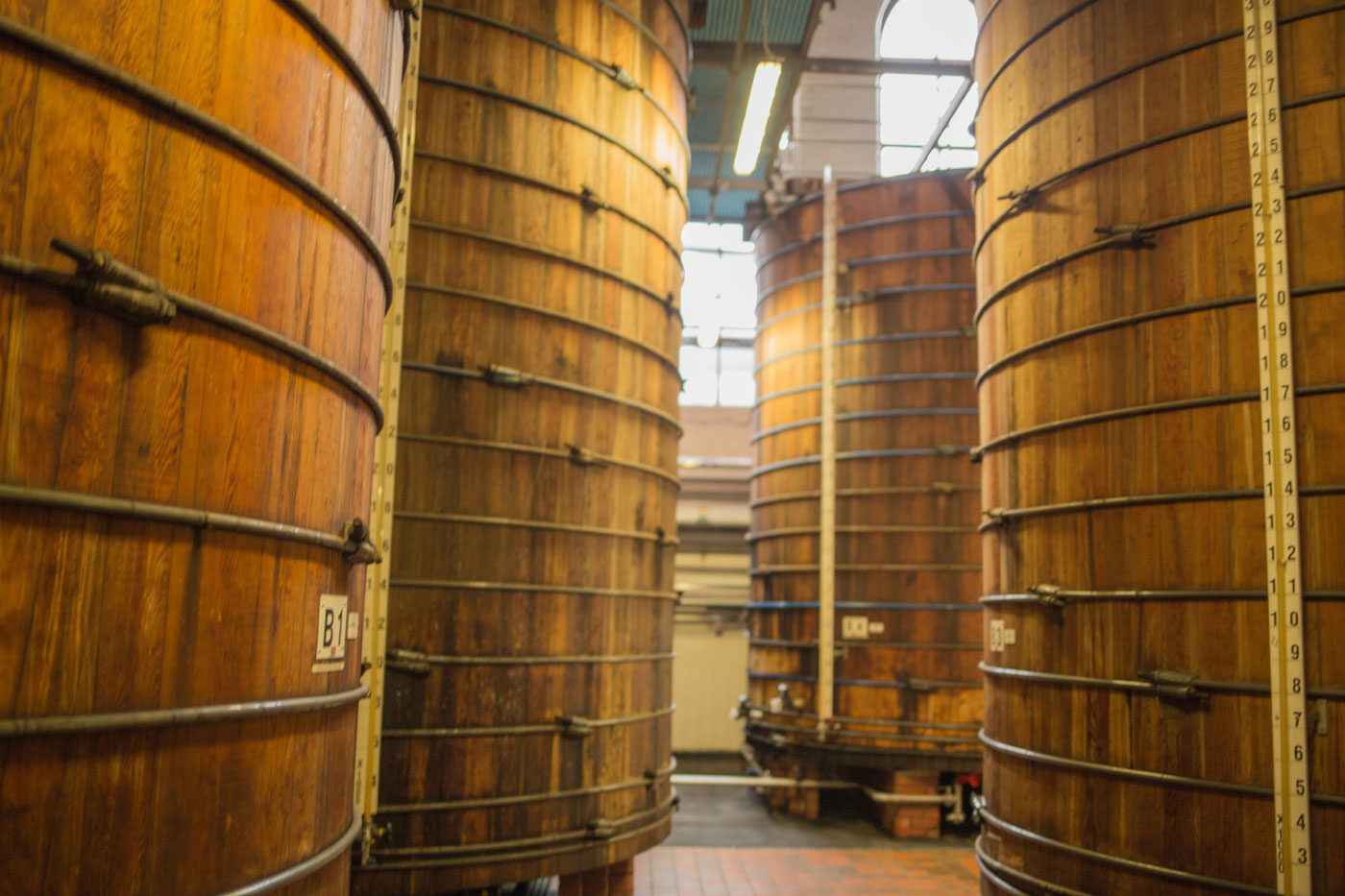 How Sarson's Vinegar is Made - The Malt Process | Sarson's